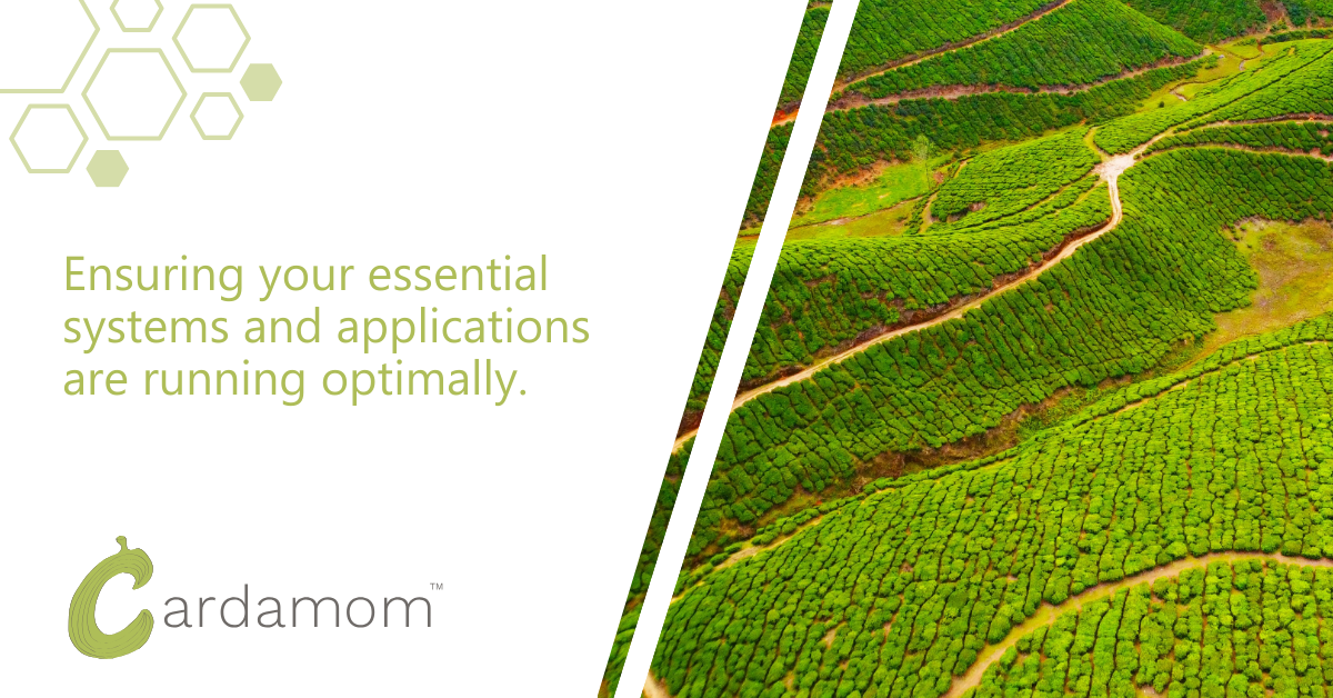 Managed Services | Cardamom